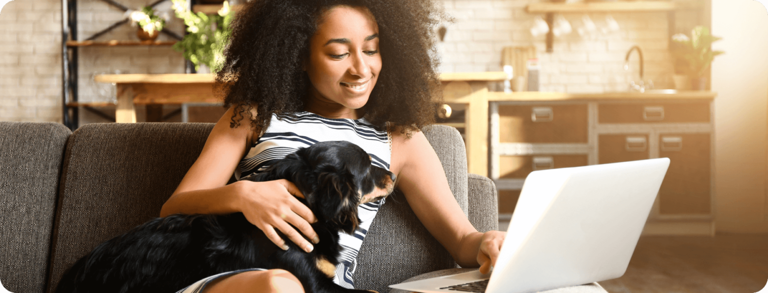 PetSure Knowledge Management System Case Study | livepro